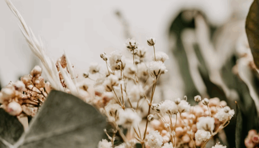 SHIROの人気のギフト15選！予算やシーンごとに絶対喜ばれるアイテムを紹介 | Ease9 Magazine | 理想の匂いに出会える、香りのオウンドメディア