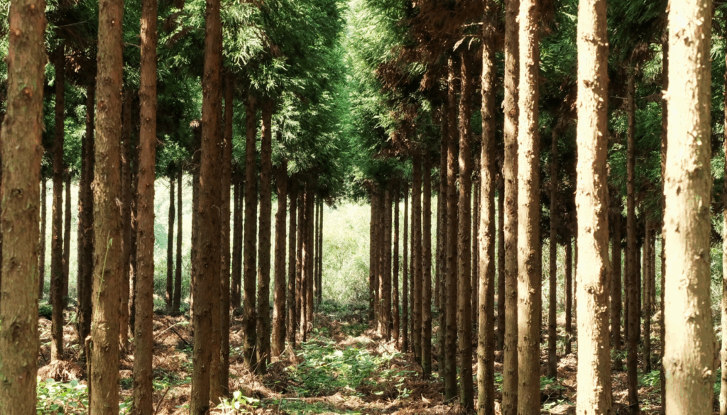 %page_title% | Ease9 Magazine | 理想の匂いに出会える、香りのオウンドメディア