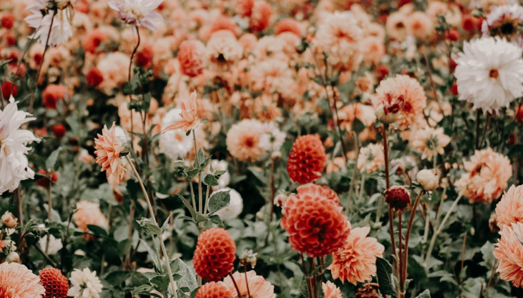 `%*page_title*% | Ease9 Magazine | 理想の匂いに出会える、香りのオウンドメディア`